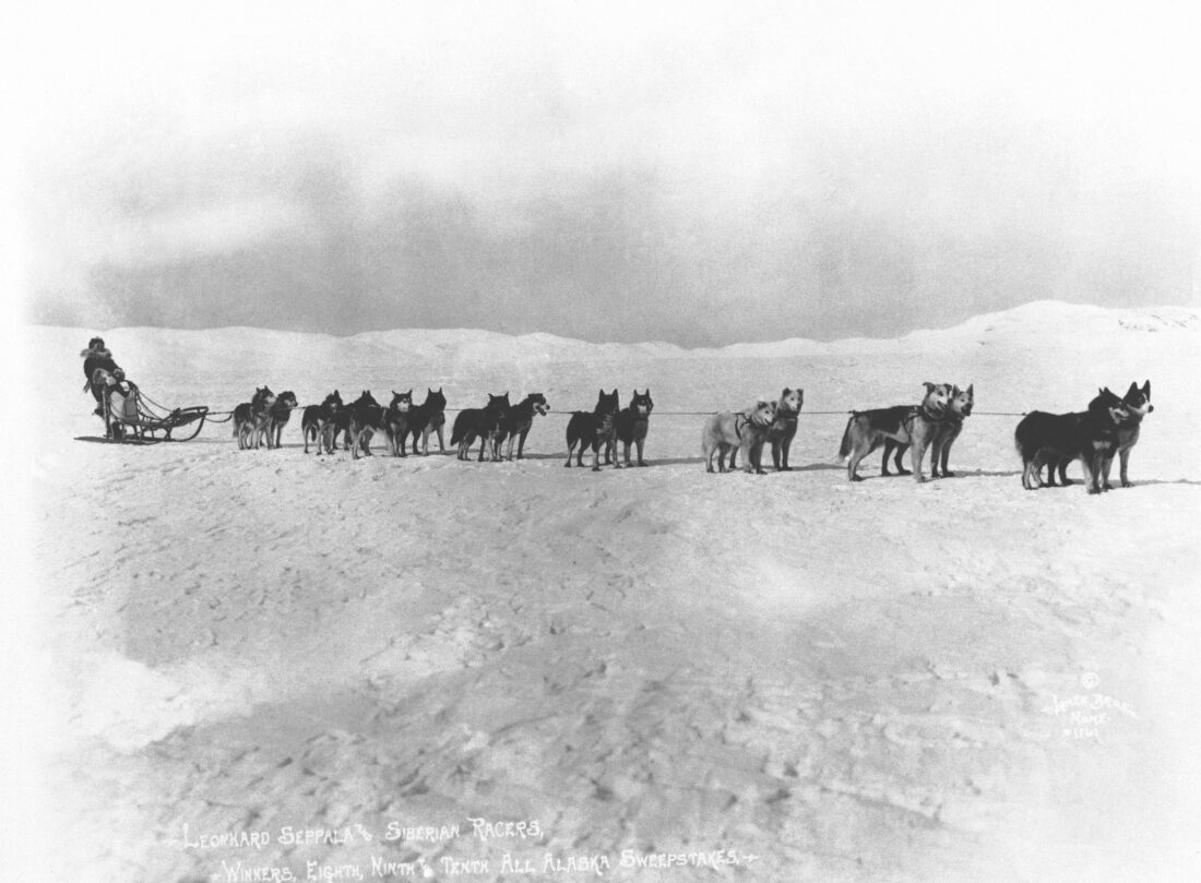 Remembering Balto: Mushers and dogs braved a horrific Alaska winter to ...
